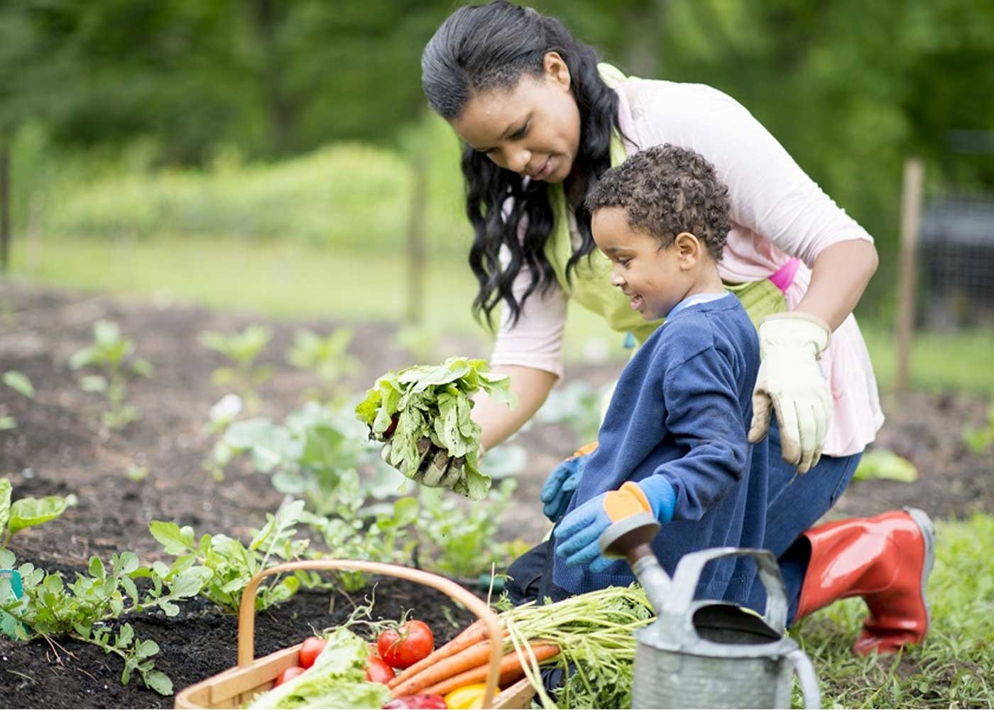 Top 9 Easy Growing Vegetables for Your Garden